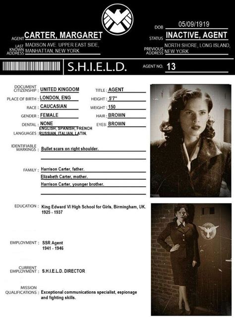 Peggy Carter File Marvel Shield Marvel Images Marvel Jokes