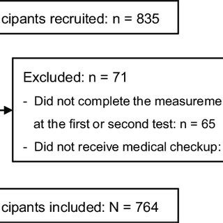 Flowchart Of Participants Included In The Validation Analysis Download Scientific Diagram