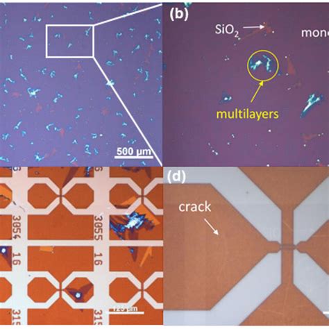 Optical Micrographs Of A Mos2 Grown On Sio2 Si With 95 Coverage Download Scientific