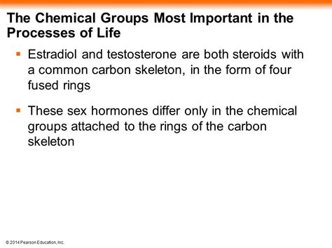 Carbon And The Molecular Diversity Of Life Ppt Download