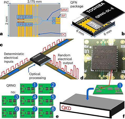Random Picker Random Name Generator Imagine Forest