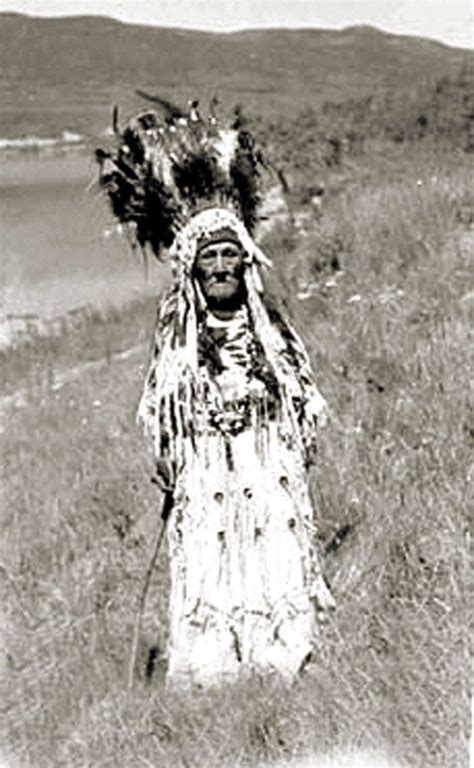 Natoas Woman Blackfeet Native American Pictures Native American
