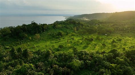 Aerial View Of A Tropical Sunset Over A License Image 14489565