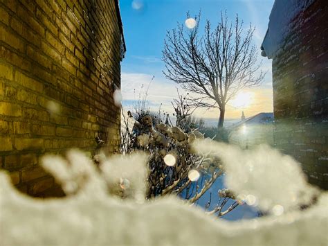 Abdullah Al Noman Photography