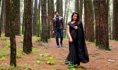 Team 5 Where To Watch And Stream Online Entertainmentie