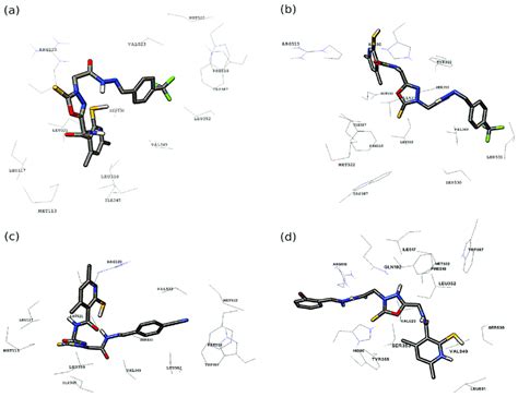The Most Energetically Favorable Conformations Of Examined Compounds In