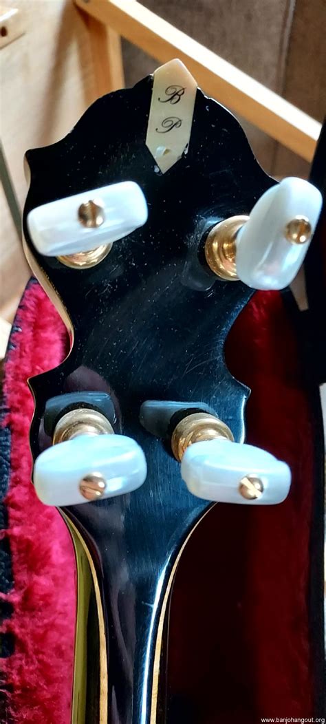 Dale Small Custom Short Scale 4 String Banjo Used Banjo For Sale At