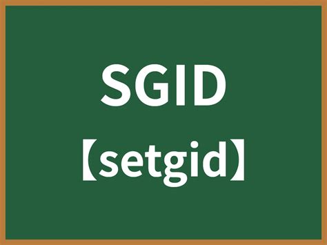 Sgid（setgid）とは It用語辞典 E Words