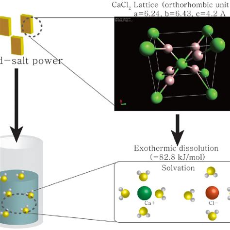 Schematic Representation Of Exothermic Dissolution Of Cacl 2 Crystal