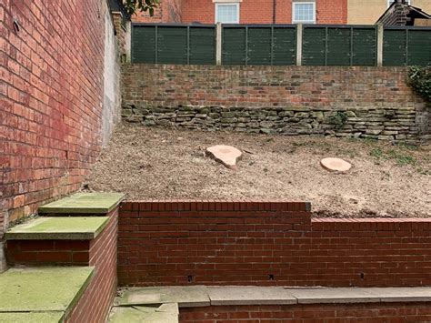 Tree Roots Damaging Property Read This Then Call Hands On Tree Care