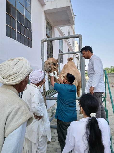 Surgical Draining Of Abscess Below Left Lower Mandible On 6th Jan 2025