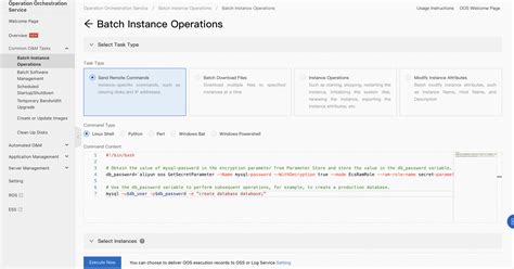 Use The Encryption Parameter To Manage A Password In A Cloud Assistant