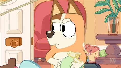 Chillis Death Stare By Fighters360 On Deviantart