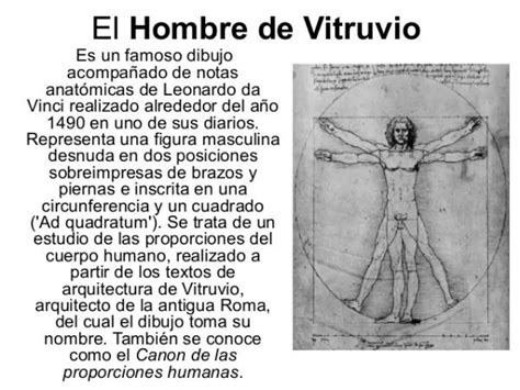 El Hombre De Vitruvio Definición Y Características El Hombre De