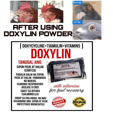 Doxylin Soluble Powder For Coryza Sipon Halak One Eye Cold Lazada Ph
