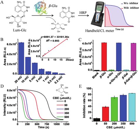 A A Schematic Diagram Illustrating A Cl Assay For Analysis Of β Glu