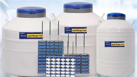 When Storing Liquid Nitrogen Samples Should The Liquid Nitrogen Or The