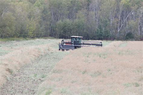Crop Yields Are Down But Prices Are Up Respect