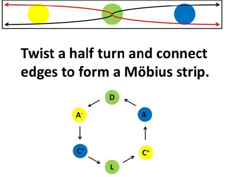 The Colour Sequence On A Möbius Strip It Does Not Matter Which Way You