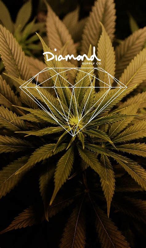Dope Weed Wallpapers Wallpaper Cave Dope Weed Wallpapers Wallpaper Cave
