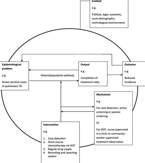 Schematic Representation Of The Conceptual Framework With Tuberculosis