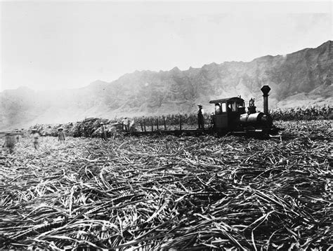 Waimanalo Sugar The Oahu Railway And Land Company