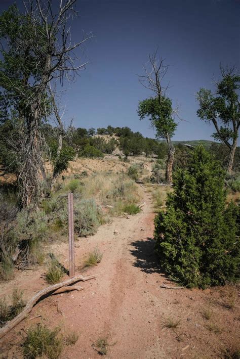Weston Pass Colorado Gps Trail Map Conditions And Difficulty Onx