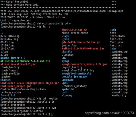 kettle8 2 linux执行保存在资源库中job kettle文件资源库如何找job路径 csdn博客