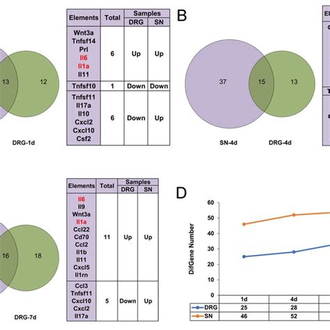 Walking Track Analysis After Sciatic Nerve Crush Sciatic Function