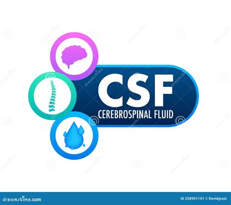 Csf Cerebrospinal Fluid Medical Concept Vector Stock Illustration