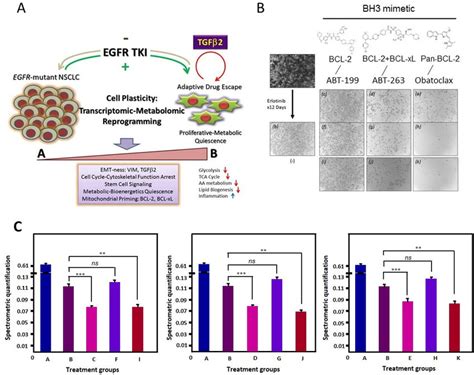 Early Adaptive Transcriptomic Metabolomic Cellular Reprogramming Under