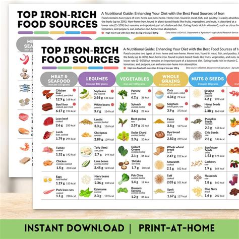 Iron Rich Foods Chart Etsy