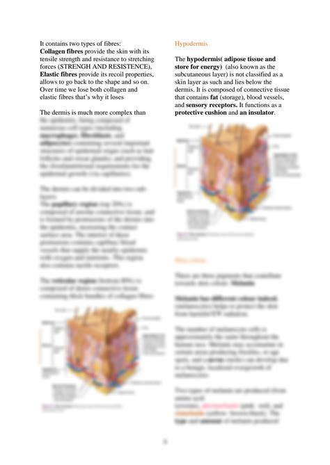 Solution Antomy Skeletal System And Skin Notes Studypool