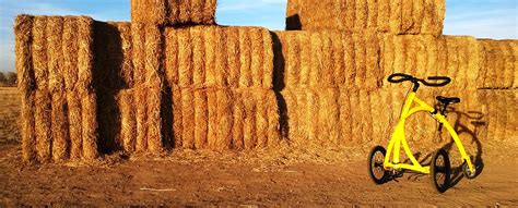 Review Alinker R Volution