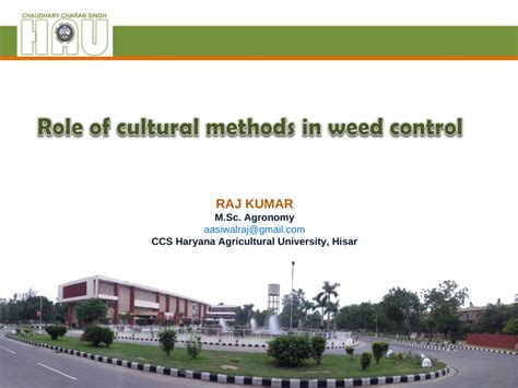 Pdf Cultural Methods In Weed Control