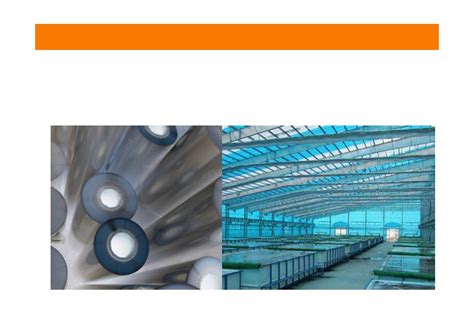 Polypropylene Vs Polycarbonate What Are The Differences