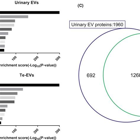 Go Annotation Cellular Component Of Identified Proteins Using Shotgun