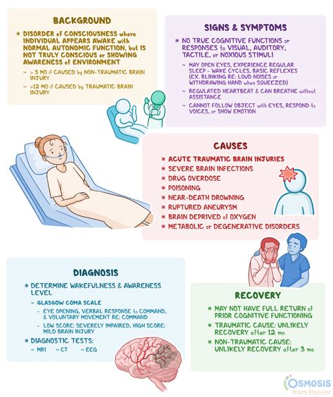 Persistent Vegetative State What Is It Causes Diagnosis And More
