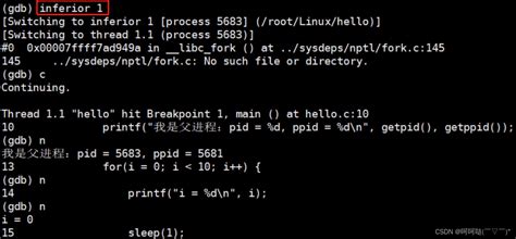 基于linux下的高并发服务器开发（第二章） 25 父子进程关系及gdb多进程调试linux 调试子进程 Csdn博客