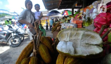 Mancicipi Sensasi Buah Salju Khas Bedugul Bali Yang Langka Ditemui