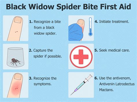 Tarantula Bite Treatment