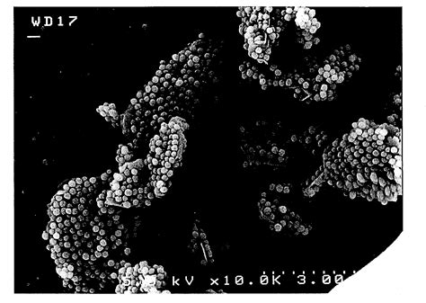 Fluoropolymer Composite Composition Eureka Patsnap