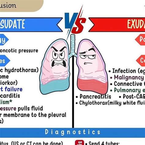 Rrt World On Instagram Pleural Effusion Transudate Vs Exudate🫁 Respiratory