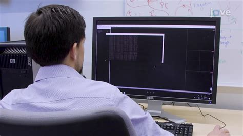 video triggering a closed loop stimulation by neuron spiking activity