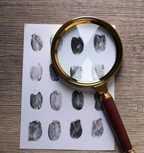 Israel Closes Ica Criminal Probe Into Willi Food Israeldesks