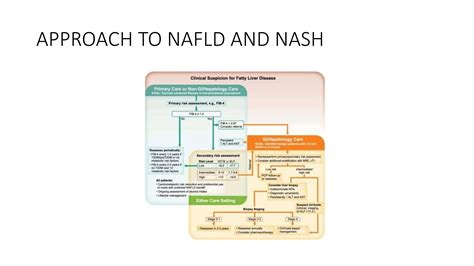 Metabolic Dysfunction Associated Steatotic Liver Disease Pptx Digestive Disorders Diseases