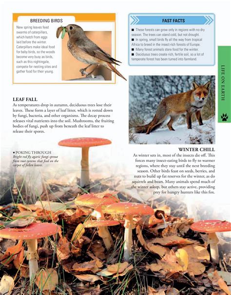 Geography A Visual Encyclopedia The Manthan School Page 167 Flip