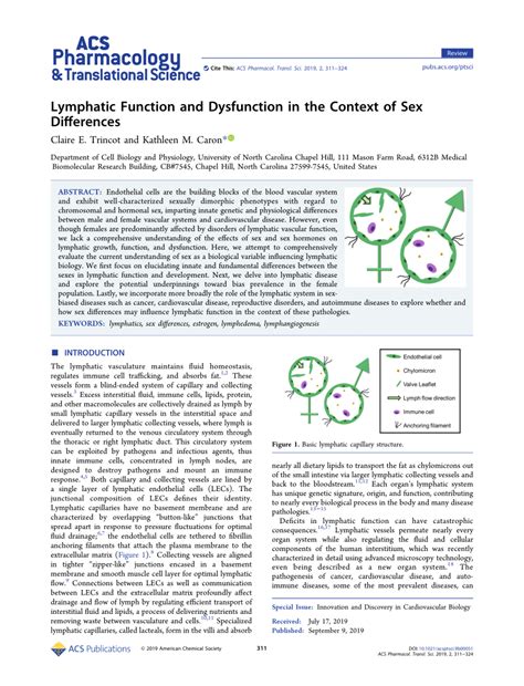 Pdf Lymphatic Function And Dysfunction In The Context Of Sex Differences