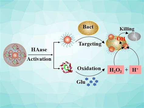 Antibacterial Nanozymes Chemistryviews