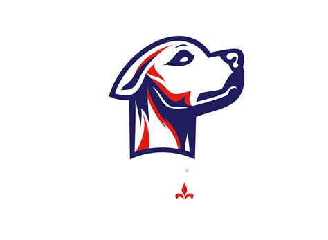 Comment Suivre Le Petit Lillois Le Petit Lillois